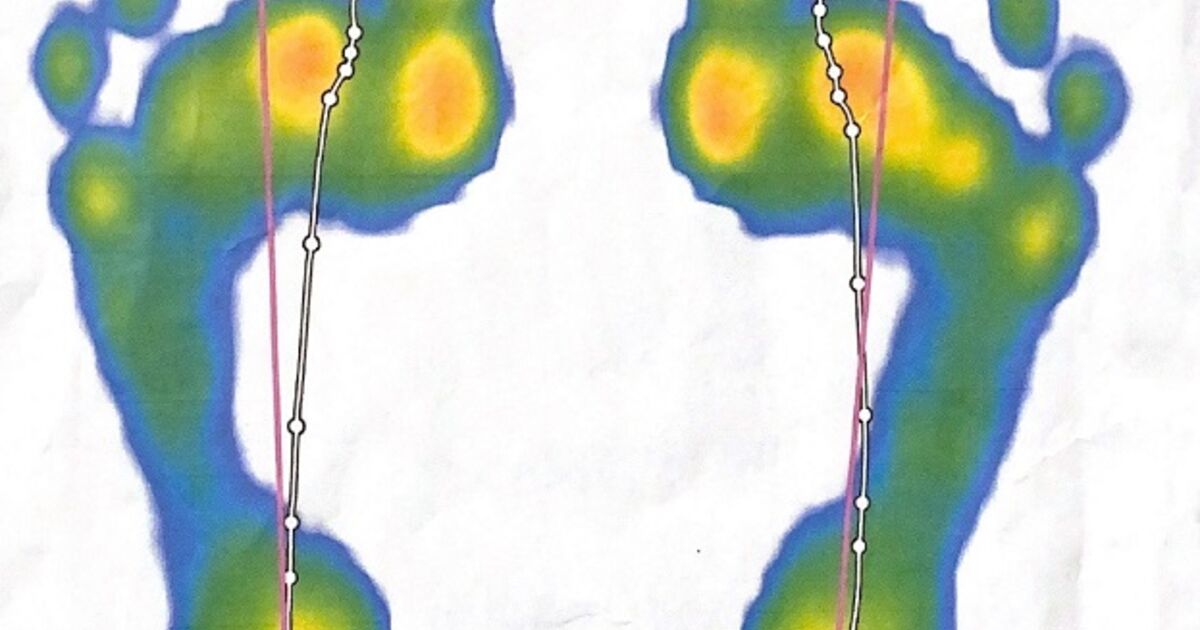 Sole and Foot Training 認定講習会のお知らせ | イベント | 福井でパーソナルトレーニングに関する知識を深めたスタッフ ...